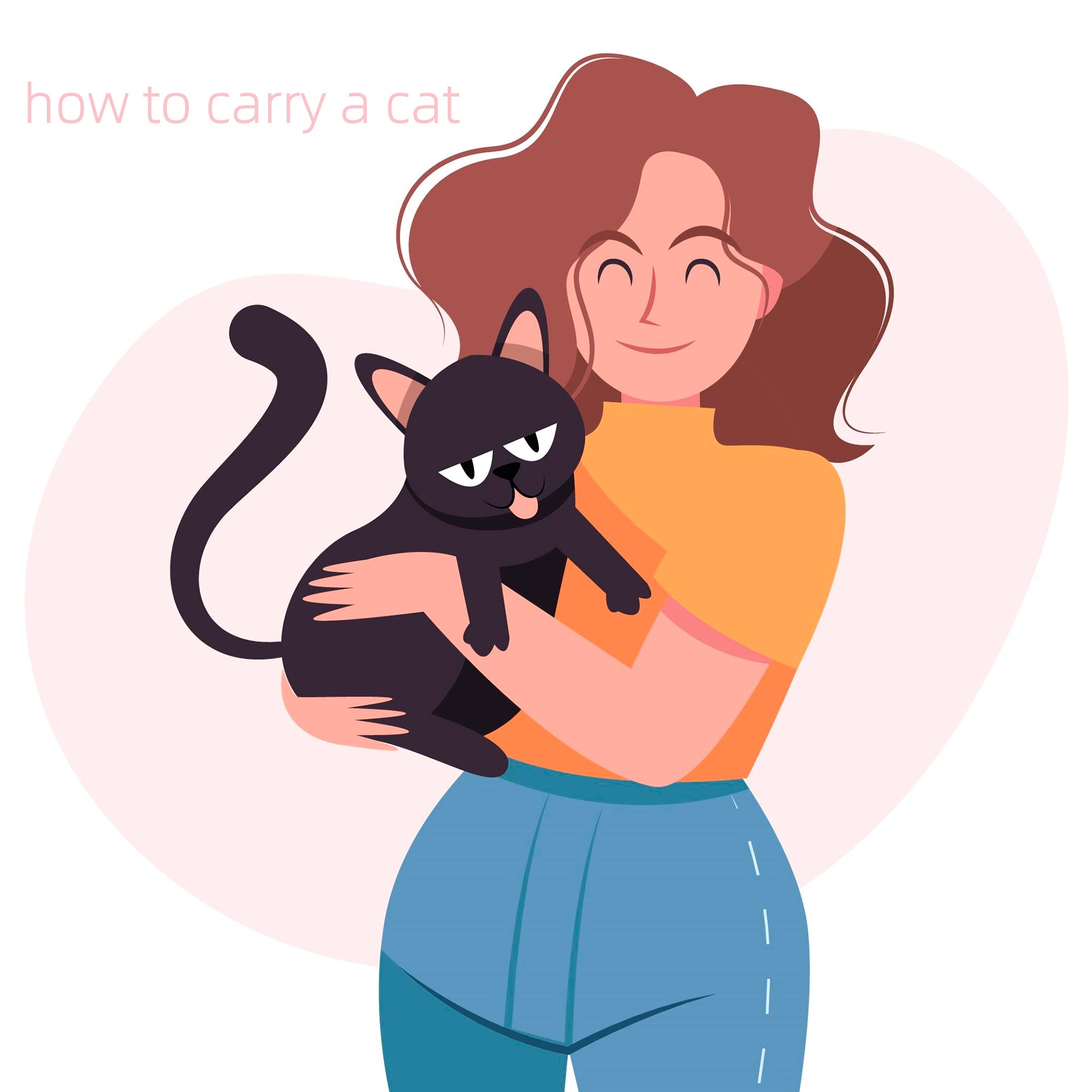 How to Carry a Cat Safely: Best Holding Tips & Common Mistakes | KtKitty