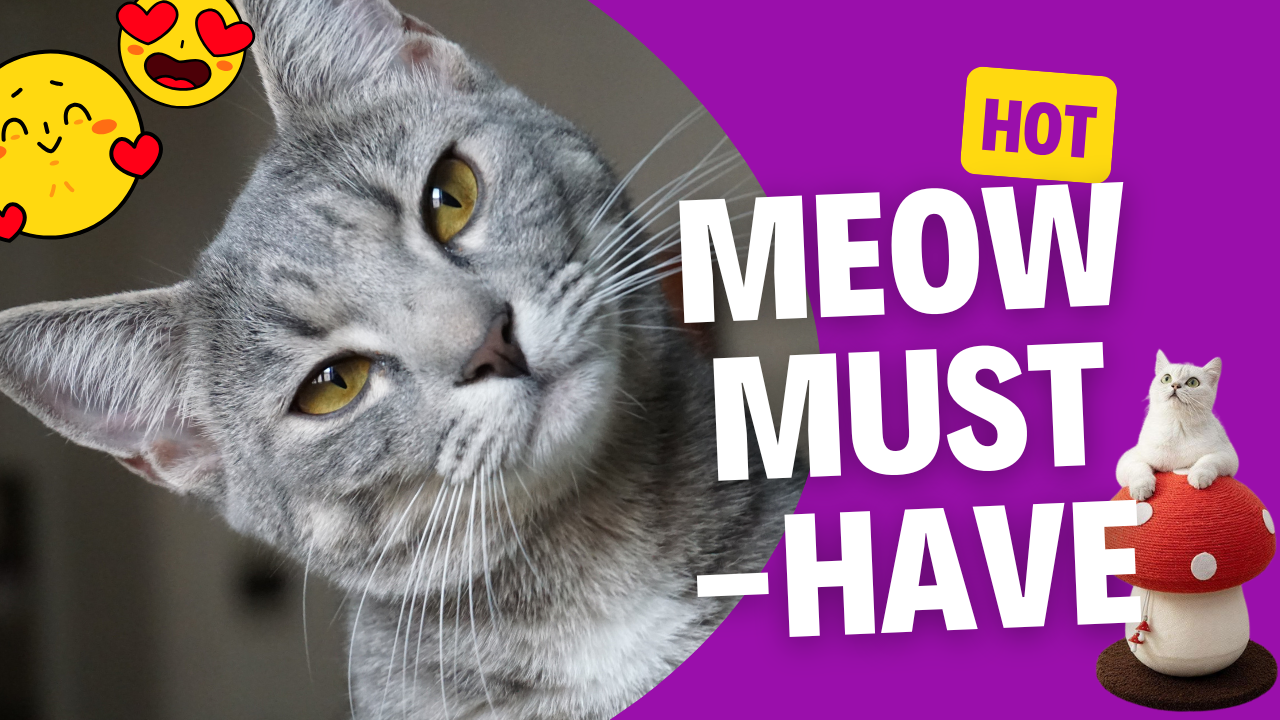 MEOW MUST-HAVE – KtKitty Cat Trees, Carriers & Furniture & More