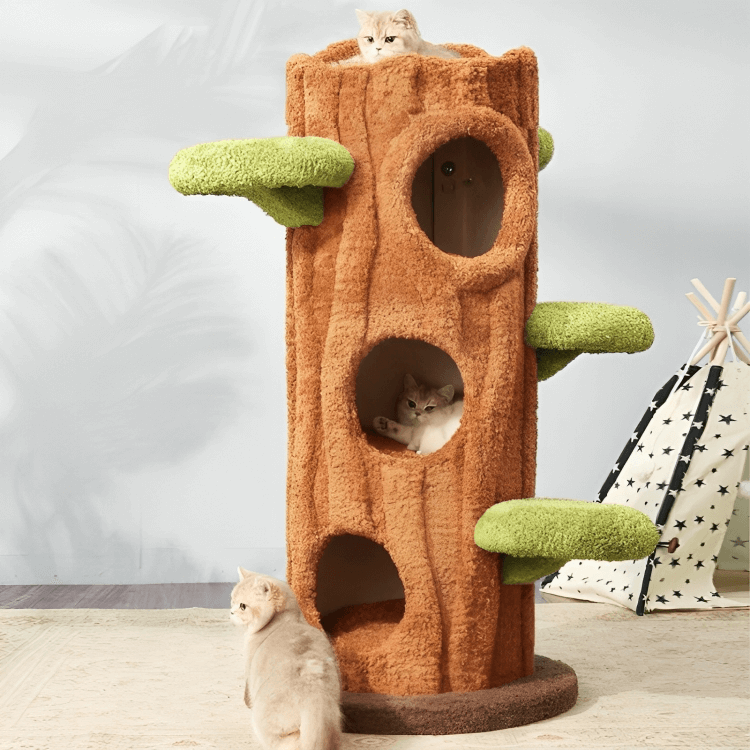 KtKitty – Shop 2025’s Best Cat Trees, Beds, Toys & More for Happy Cats