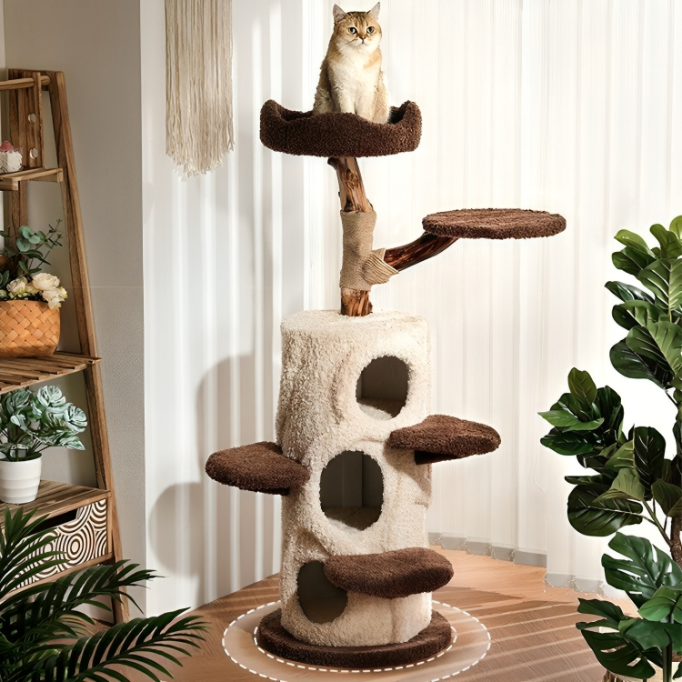 KtKitty – Shop 2025’s Best Cat Trees, Beds, Toys & More for Happy Cats