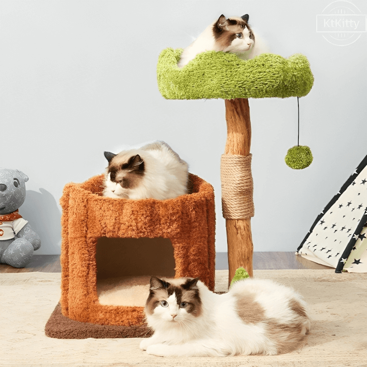 KtKitty – Shop 2025’s Best Cat Trees, Beds, Toys & More for Happy Cats