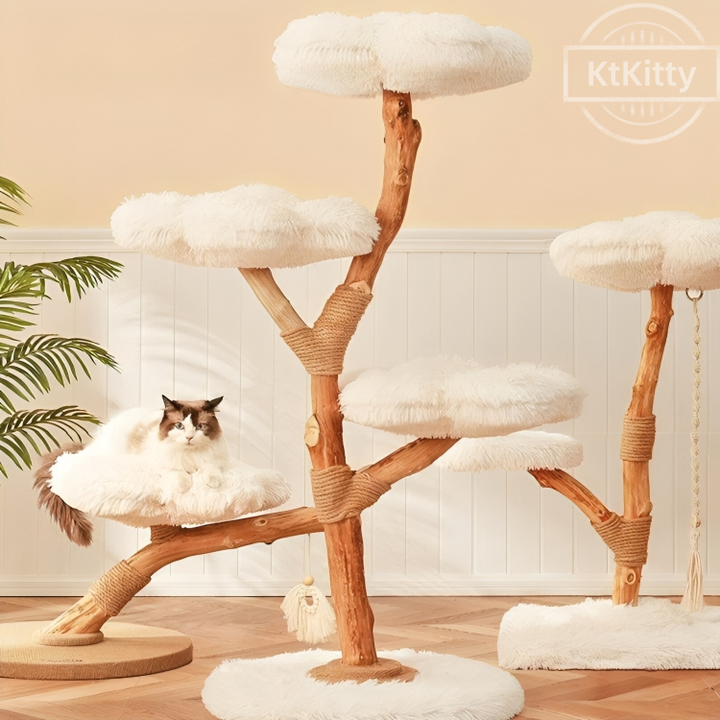 KtKitty – Shop 2025’s Best Cat Trees, Beds, Toys & More for Happy Cats